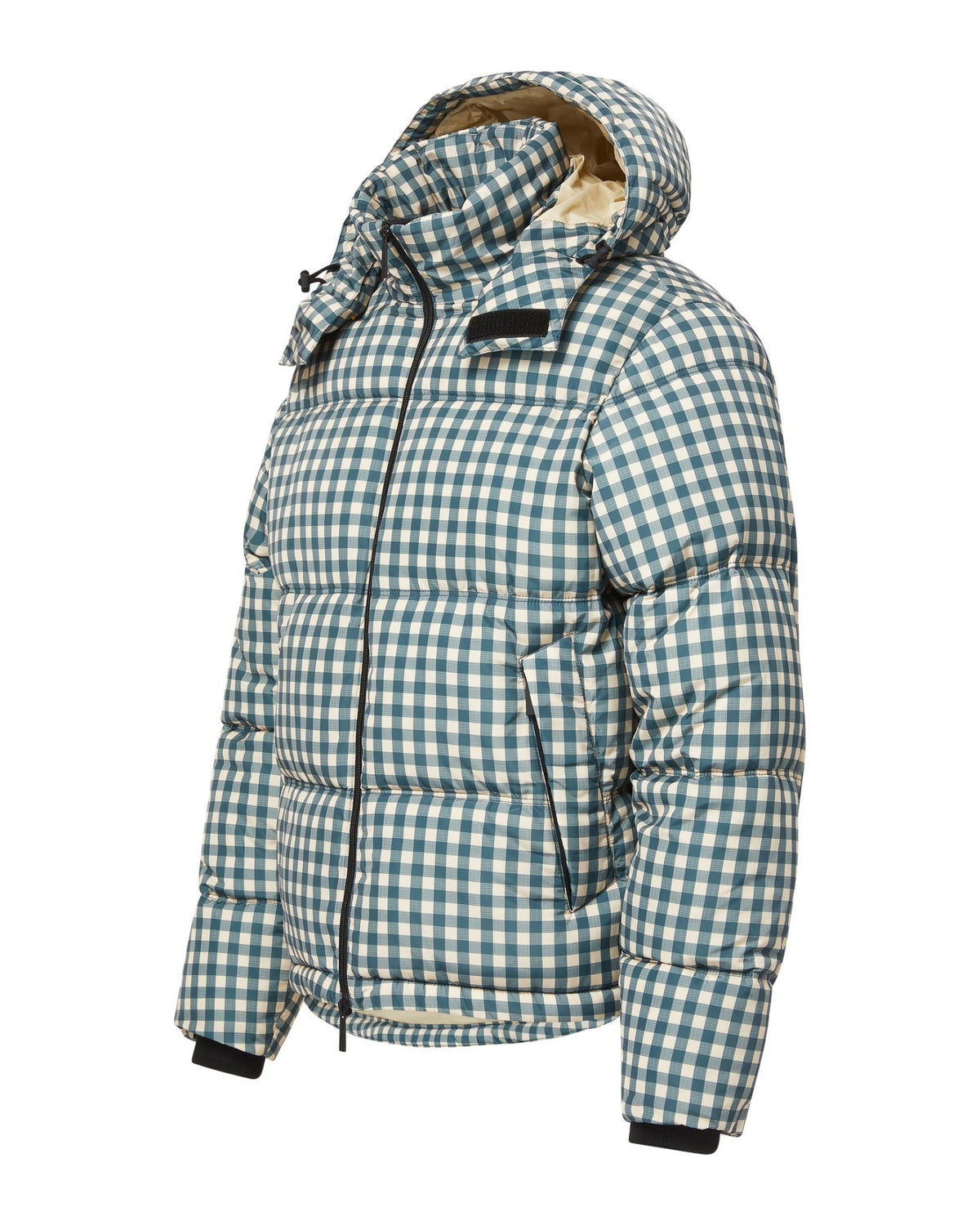 Hooded Puffer - Forest Check